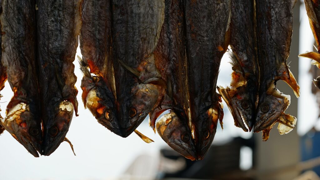Taste traditional Japanese dried fish! | Japan Journey Guide